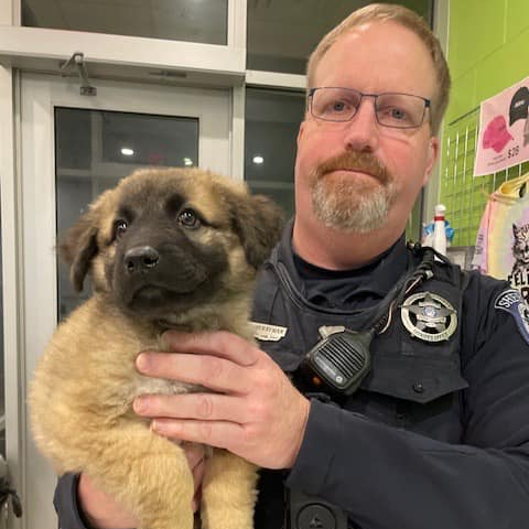 Douglas County Sheriff’s deputies rescue puppy found alone in freezing ...
